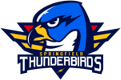 Elite Prospects - Springfield Thunderbirds