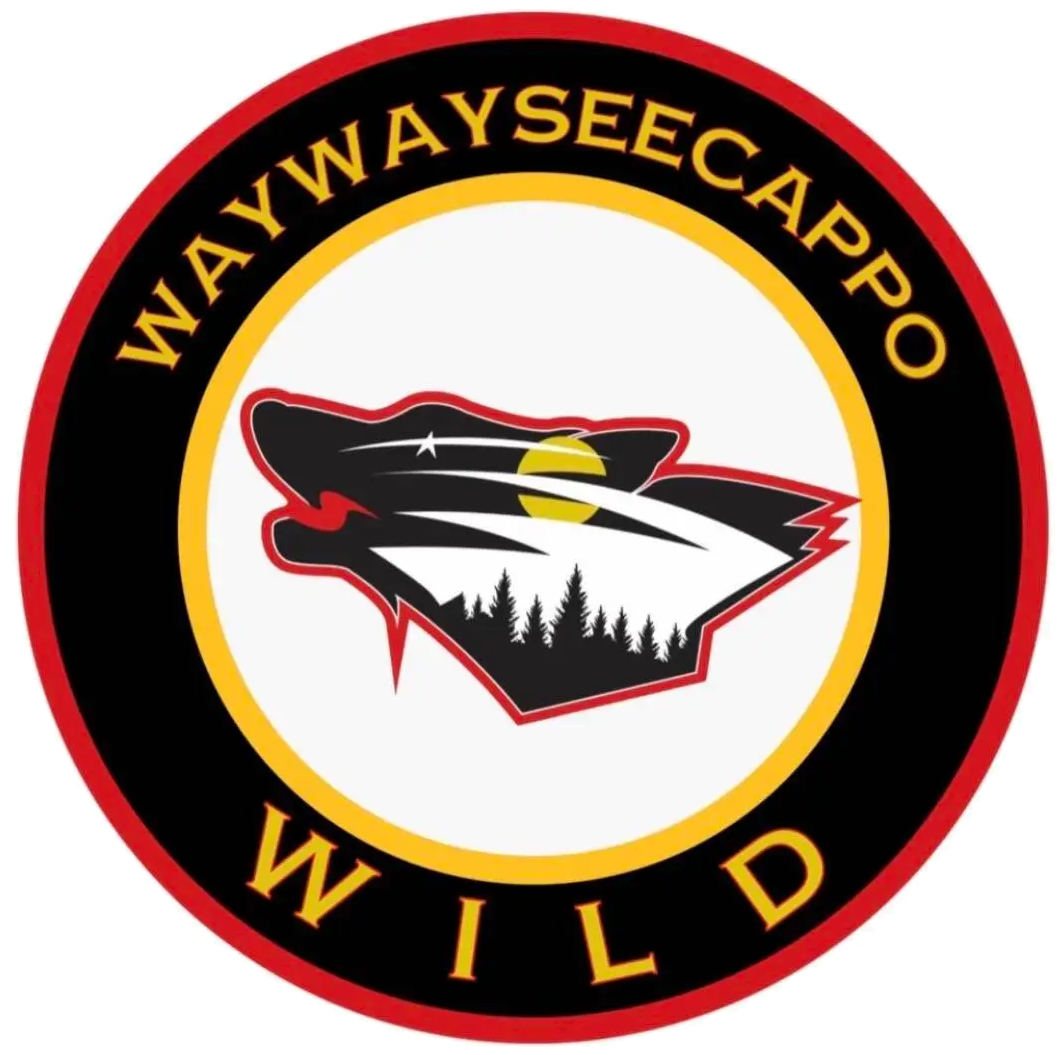 Elite Prospects - Waywayseecappo Wild
