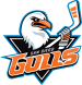 Elite Prospects - San Diego Gulls