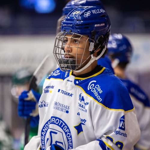 Noah Wolf - Stats & Facts - Elite Prospects