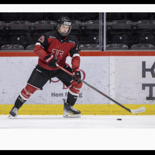 Jack Wildeman - Stats, Contract, Salary & More