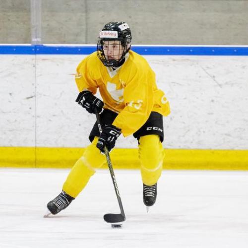 Janis Grossniklaus - Stats, Contract, Salary & More