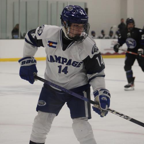 Dylan van Spronsen - Stats & Facts - Elite Prospects
