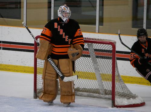 Marko Bilic - Stats, Contract, Salary & More