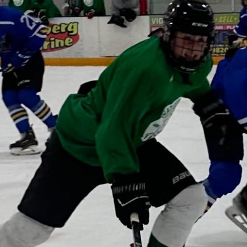 Alex Larson - Stats, Contract, Salary & More