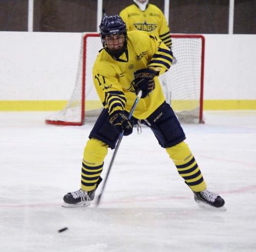 Mees van Wingerden - Elite Prospects