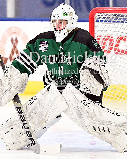 Cale Ackerman - Elite Prospects