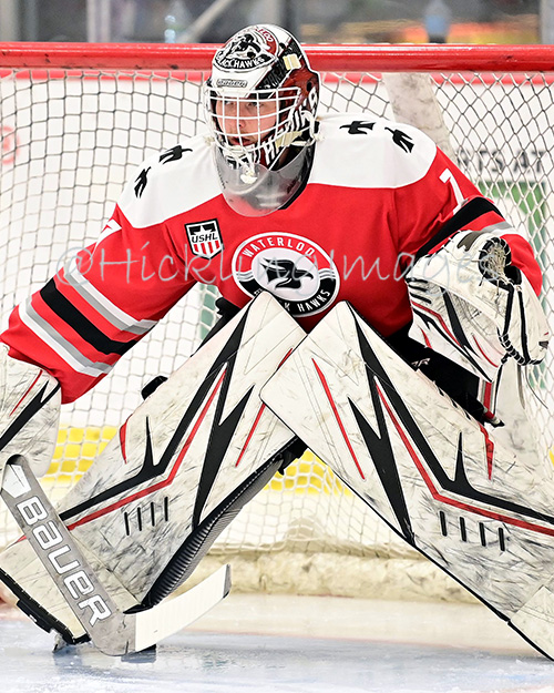 Emmett Croteau - Elite Prospects