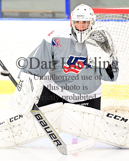 Sebastian Gatto - Stats & Facts - Elite Prospects
