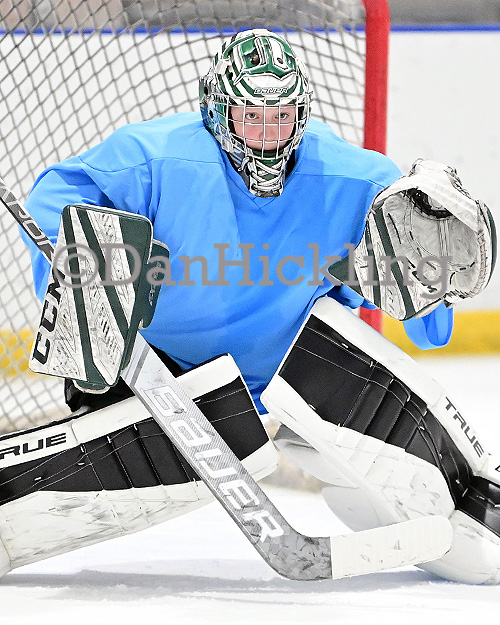 Mitchell Pearce - Stats & Facts - Elite Prospects