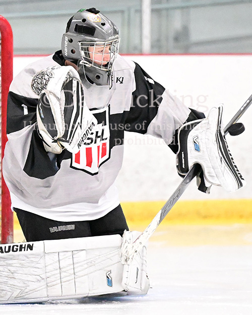 Sascha Pitaev - Elite Prospects