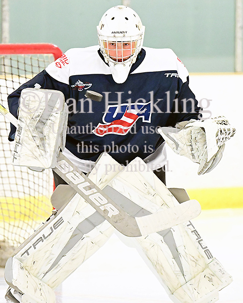 William Prowse - Stats & Facts - Elite Prospects