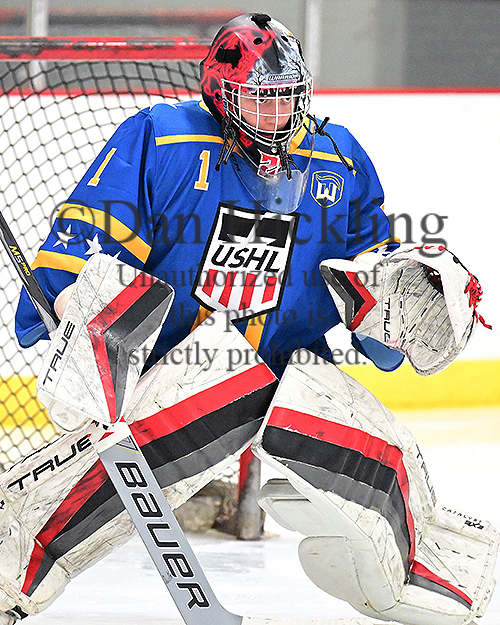 Mike Reed - Stats, Contract, Salary & More