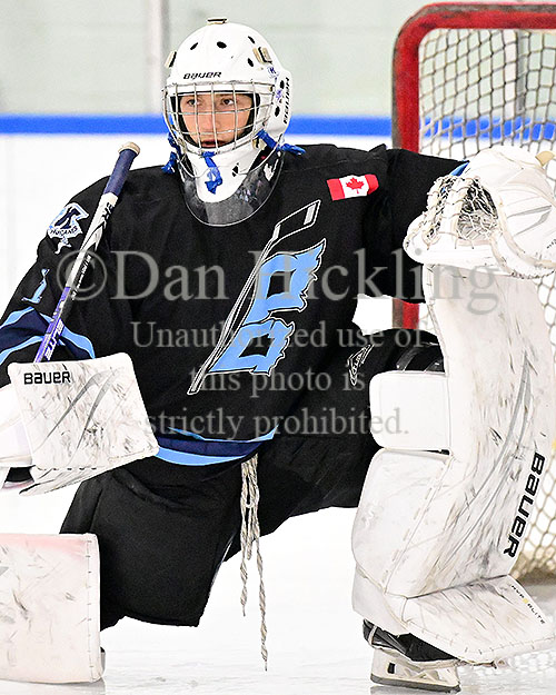 Seth Ronan - Stats, Contract, Salary & More