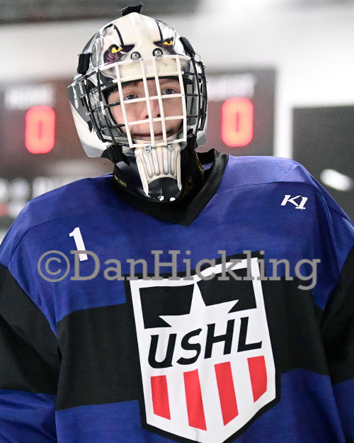 Jake Shingles - Elite Prospects