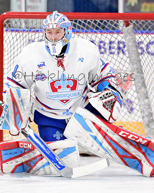 Avery Sturtz - Elite Prospects