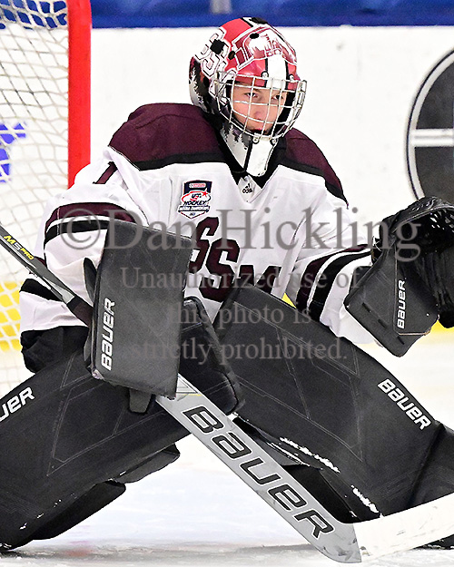 Xavier Wendt - Stats & Facts - Elite Prospects