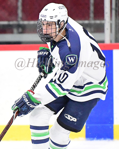 David Novotny - Elite Prospects