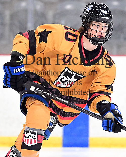 Sheldon Rioux - Stats, Contract, Salary & More