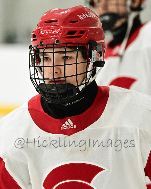 Drew Stewart - Elite Prospects