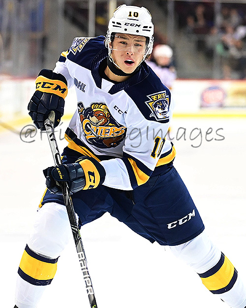 Carey Terrance - Elite Prospects