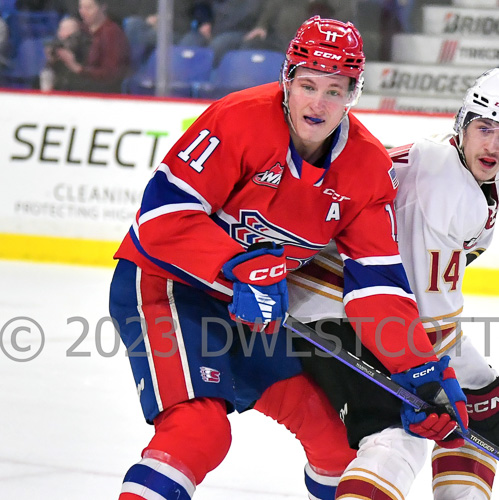 Ty Cheveldayoff - Stats, Contract, Salary & More