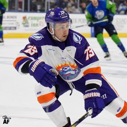 Matthew Sredl - Stats, Contract, Salary & More