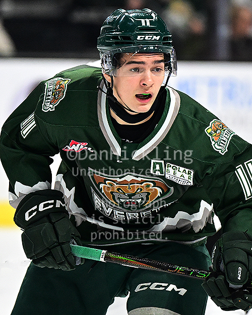 Carter Bear - Stats, Contract, Salary & More