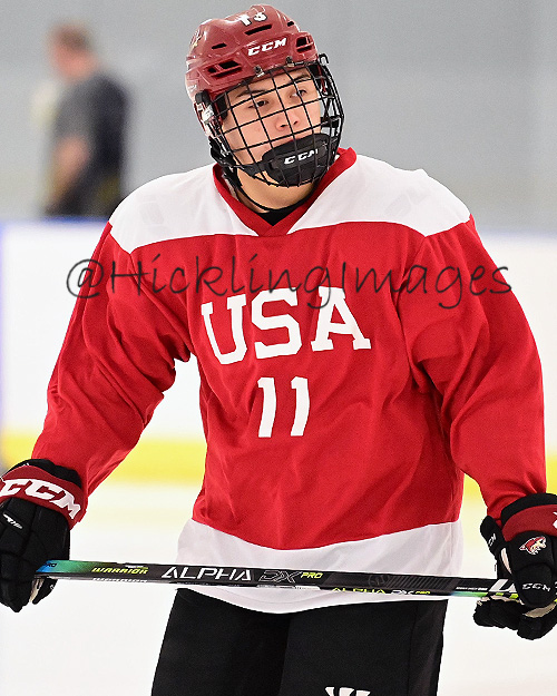 Niko Benjamin - Elite Prospects