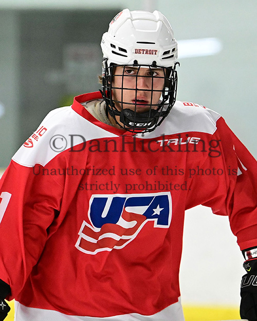 Tyler Borgula - Stats & Facts - Elite Prospects