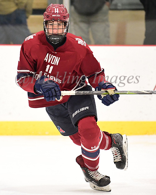 Paul Davey - Elite Prospects