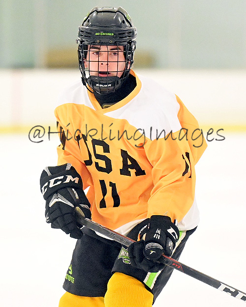 Brud Delaney - Elite Prospects