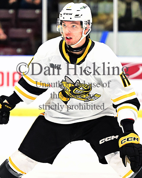 Zach Filak - Elite Prospects