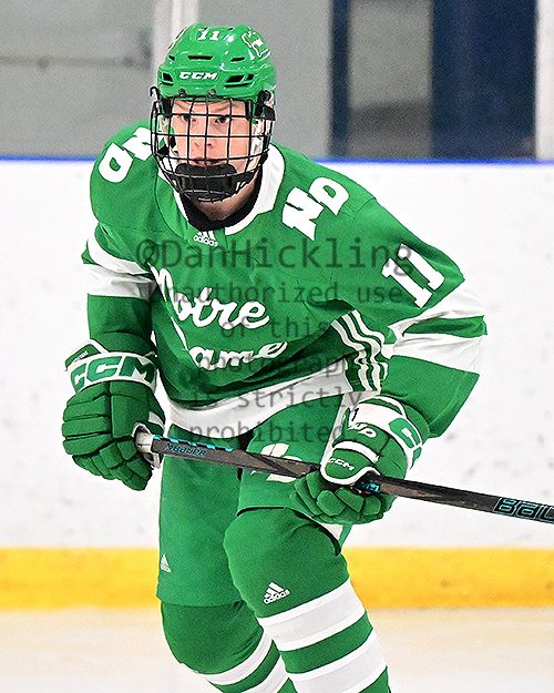 Braeden Hart - Stats, Contract, Salary & More