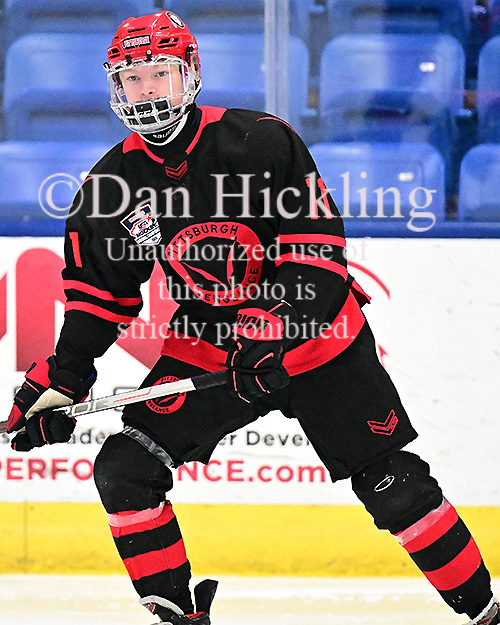 Caden Harvey - Stats & Facts - Elite Prospects