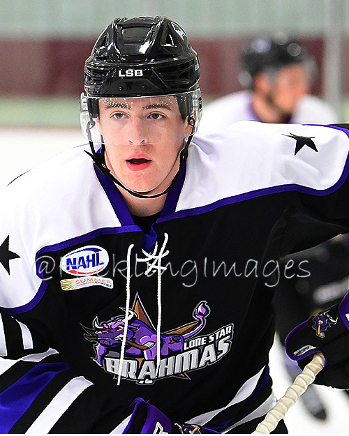 Matt MacDonald - Elite Prospects