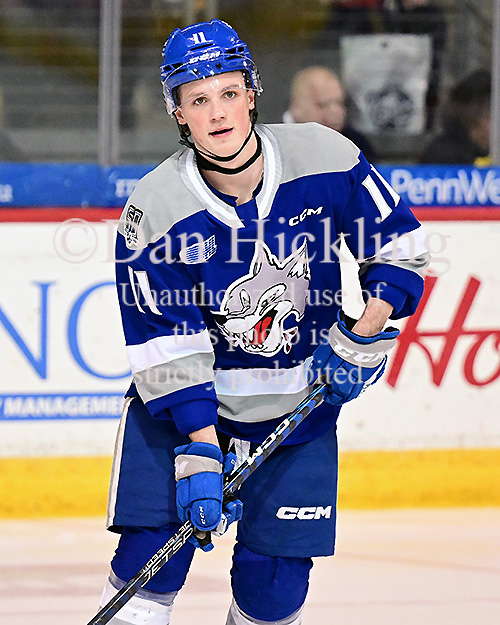 Landon McCallum - Stats, Contract, Salary & More