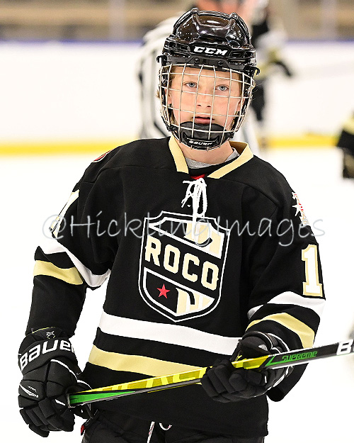 Gavin Parks - Stats & Facts - Elite Prospects