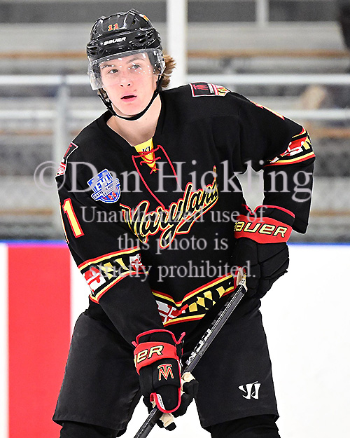 Morley Phillips - Stats & Facts - Elite Prospects