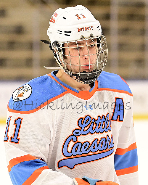 Andrew Seminara - Stats, Contract, Salary & More