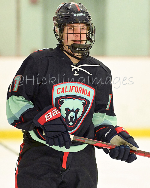 Brenden Stirbu - Stats & Facts - Elite Prospects