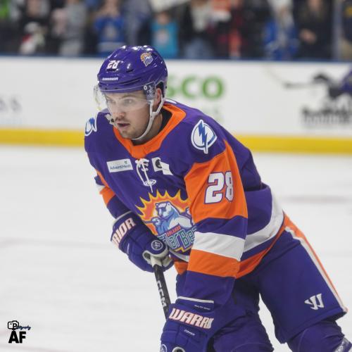 Jimmy Mazza - Elite Prospects