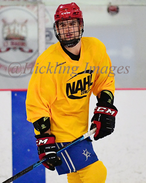 Nicklas Albrecht - Elite Prospects