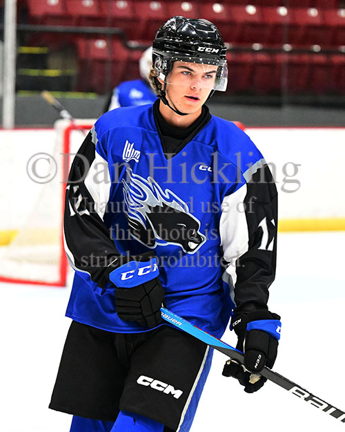 Cole Burbidge - Elite Prospects