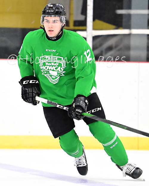 Stuart Rolofs - Elite Prospects
