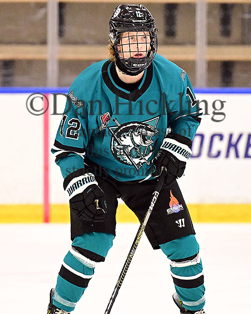 Brody Simpson - Stats, Contract, Salary & More