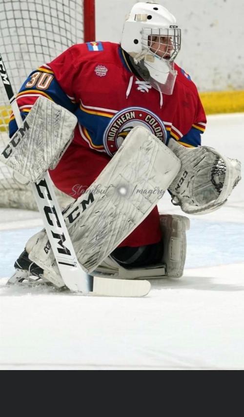 Charles-Anthony Barbeau - Elite Prospects