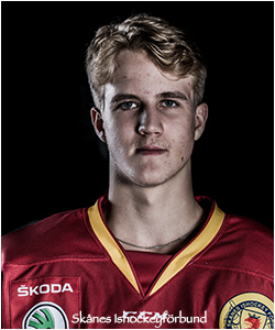 Alexander Bengtsson - Stats, Contract, Salary & More