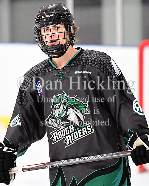 Luke Festa - Stats & Facts - Elite Prospects