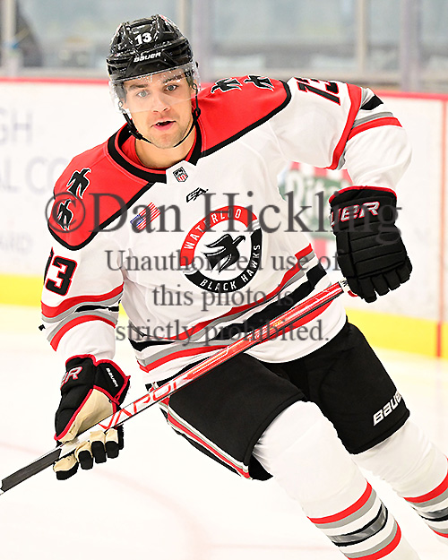 Jaedon Kerr - Elite Prospects